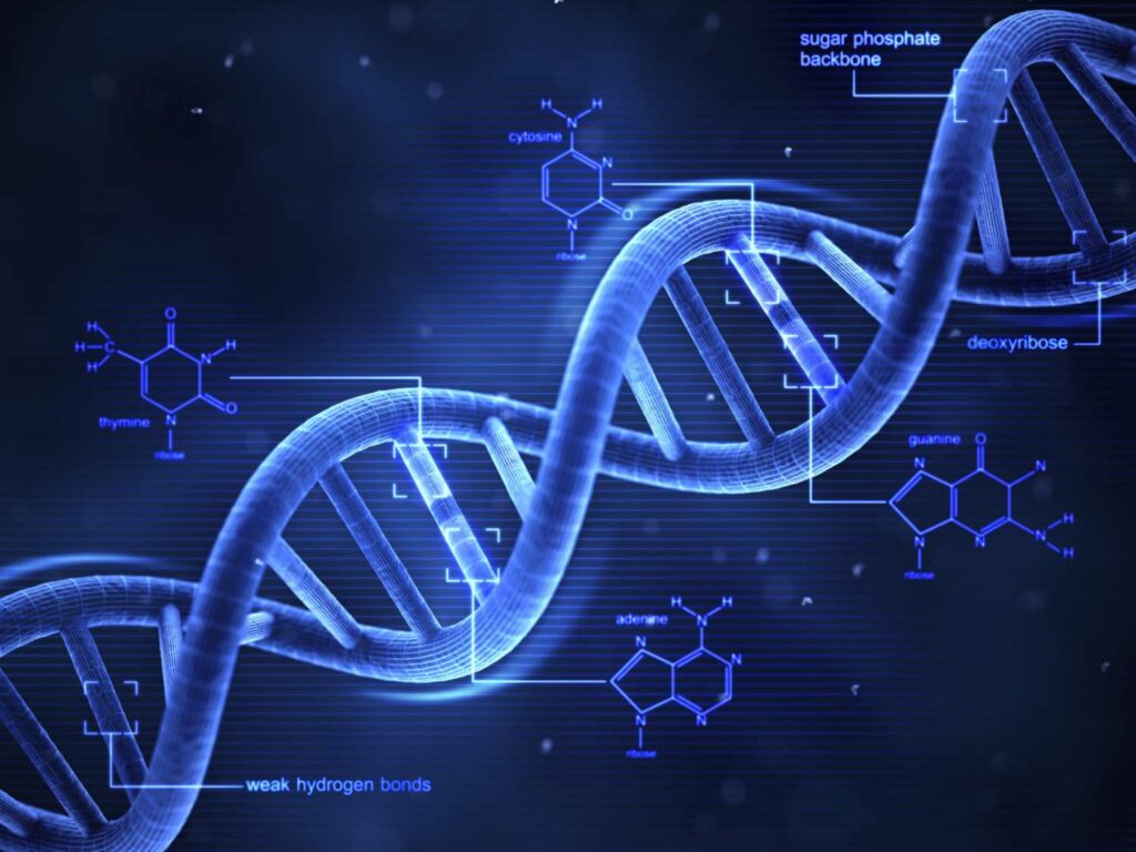 Understanding DNA Test Results and How to Upload Your DNA – TimeNewsWorld Understanding DNA Test Results and How to Upload Your DNA – TimeNewsWorld